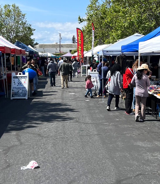 shopper dream market california ftr