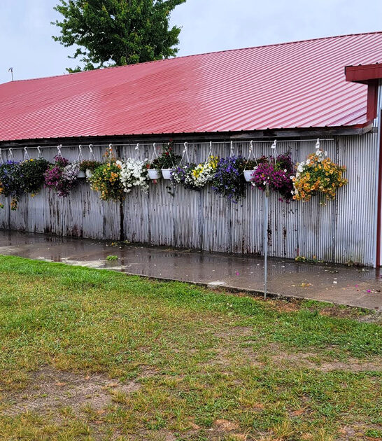 shopping michigan flea market ftr