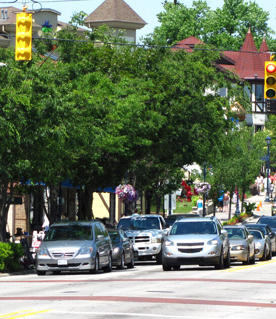 simple living towns michigan ftr
