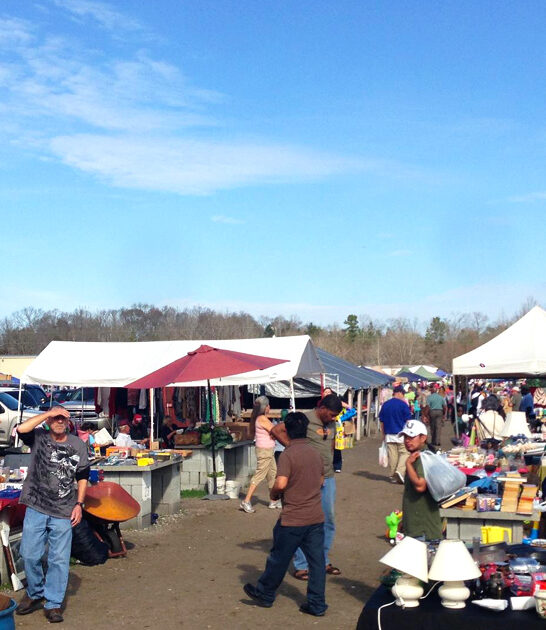 south carolina market bargains ftr