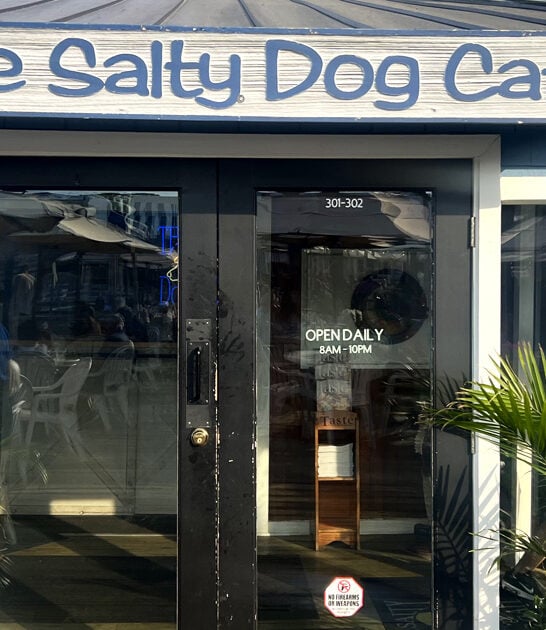 south carolina oysters cafe ftr