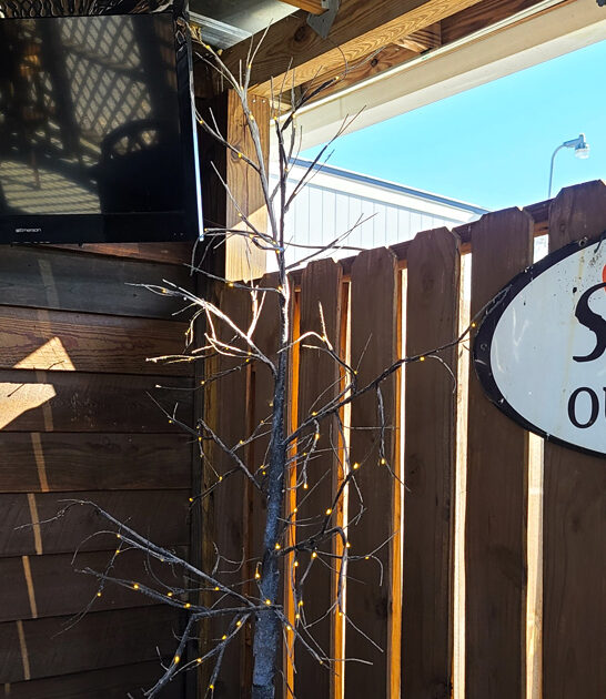 south carolina restaurants steak ftr