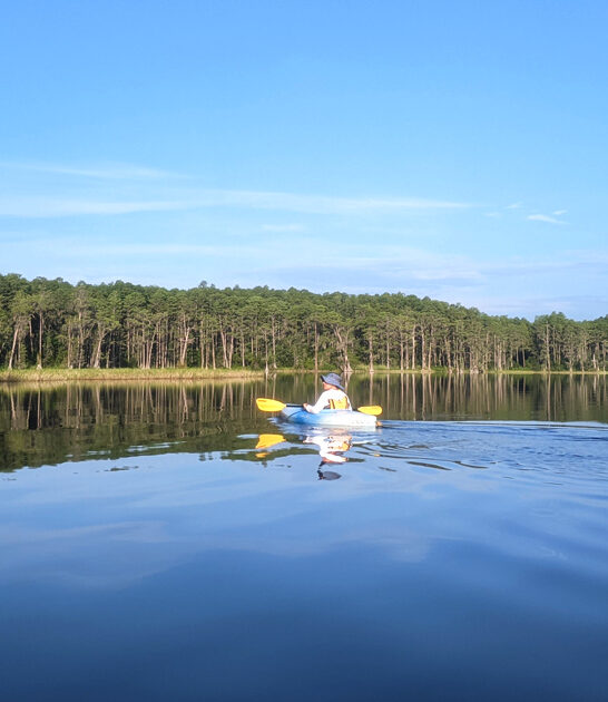 state park florida dream ftr