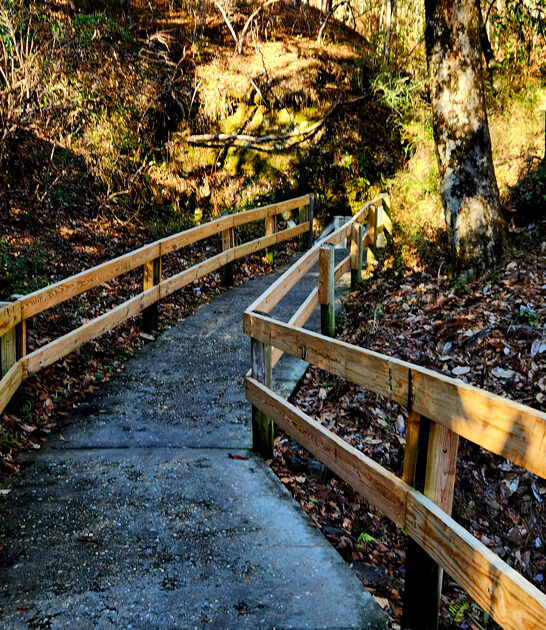 state park florida people ftr