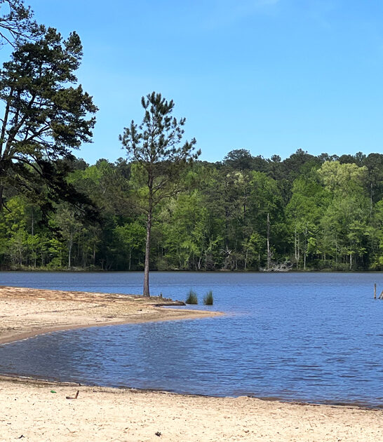 state park georgia wonder ftr