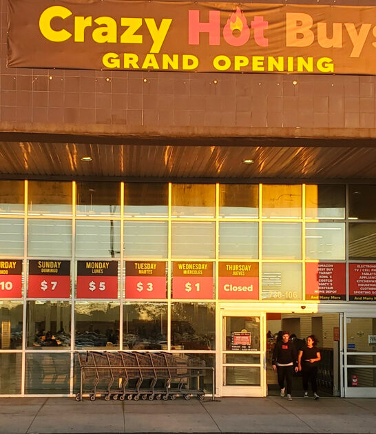 store bargain hunters florida ftr