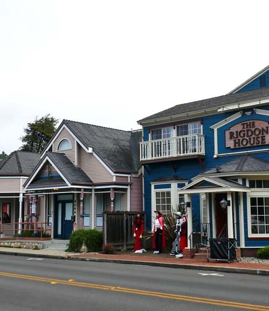 stress free journey california ftr