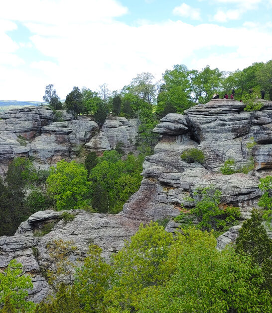 stunning national forest illinois ftr