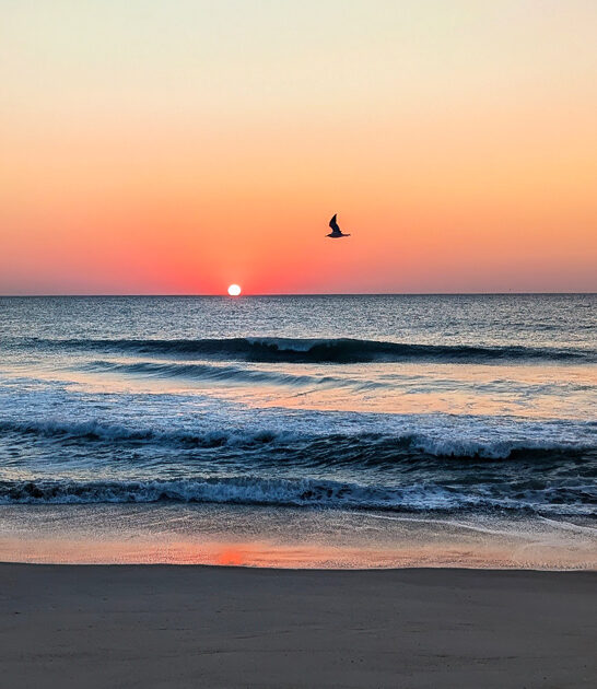 stunning north carolina beach ftr