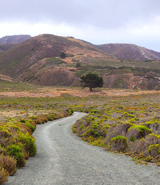 stunning park california hidden ftr
