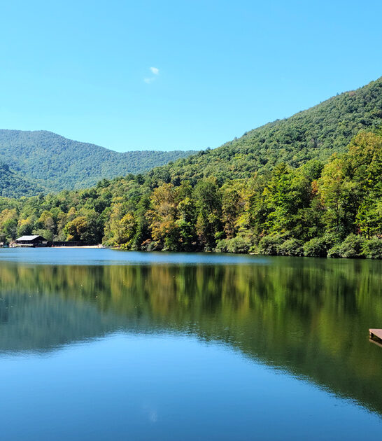 stunning park georgia locals ftr