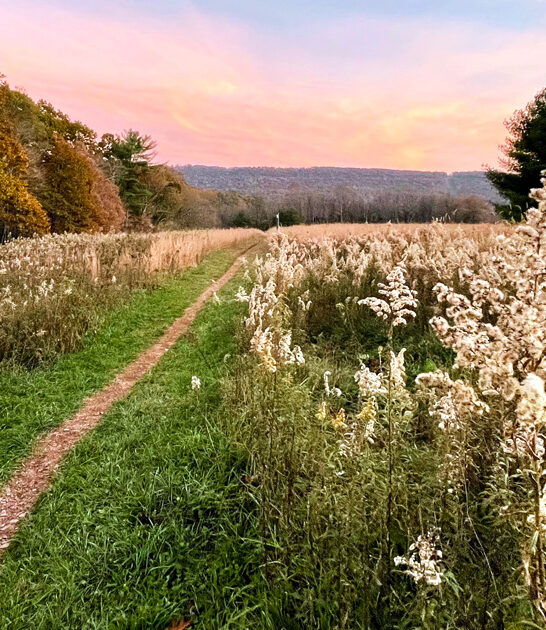surreal pennsylvania state park ftr