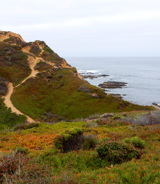 surreal perfect park california ftr