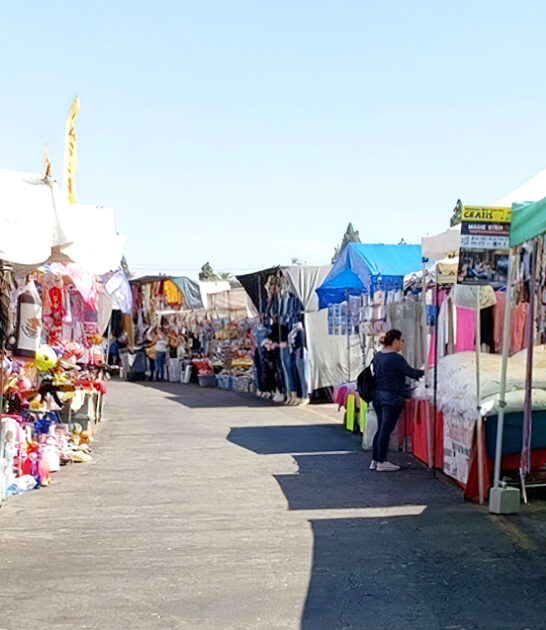 swap-meet-california ftr