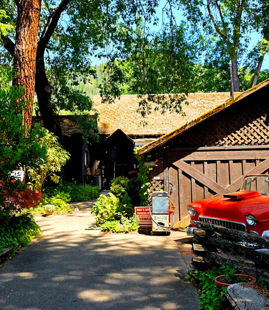 tasty prime rib oregon ftr