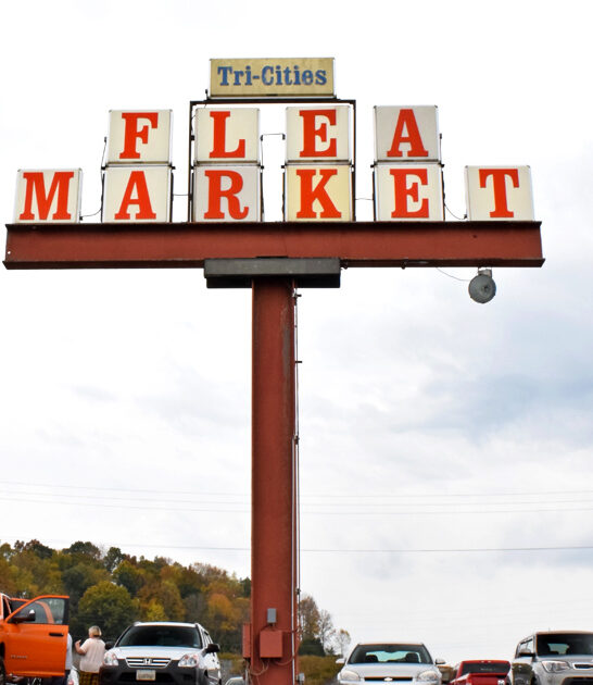 tennessee deals massive flea ftr