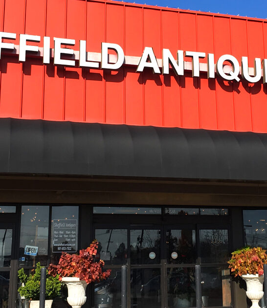 tennessee hunt bargains enormous ftr