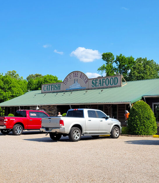 tennessee locals best catfish ftr