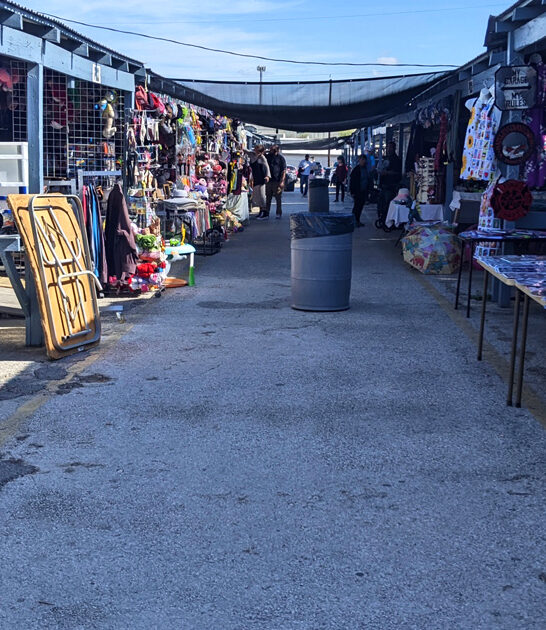 texas big flea markets ftr
