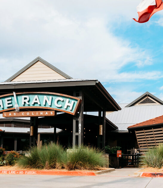 texas restaurant fried steak ftr