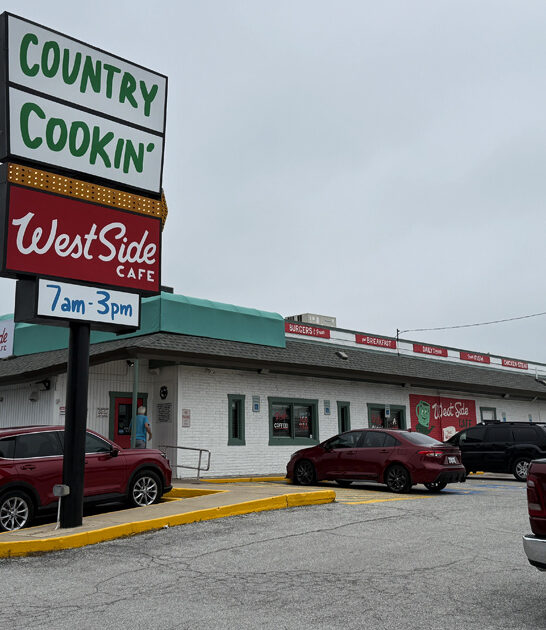 texas serve chicken dumplings ftr