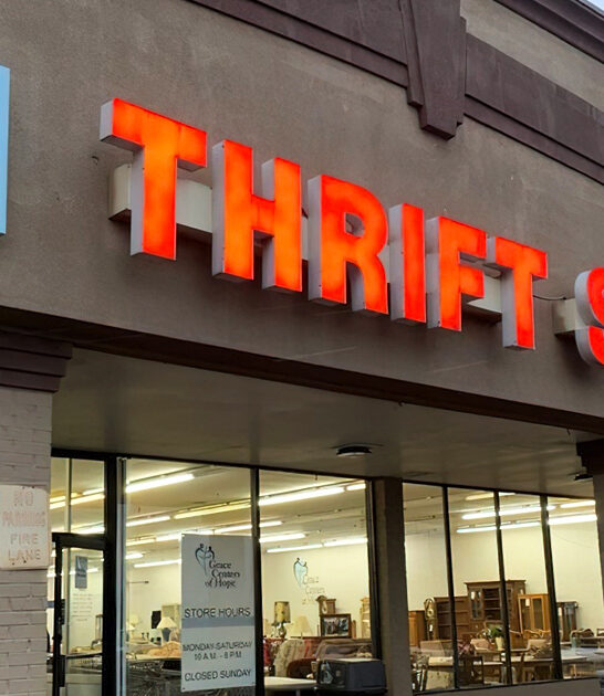 thrift cool shop michigan ftr