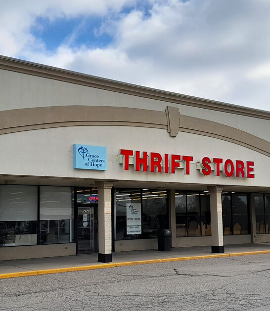 thrift furniture shop michigan ftr