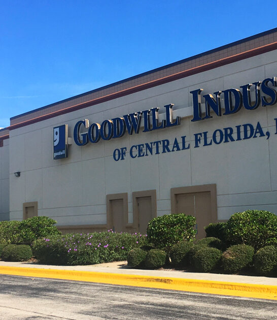 thrift shopping adventure florida ftr