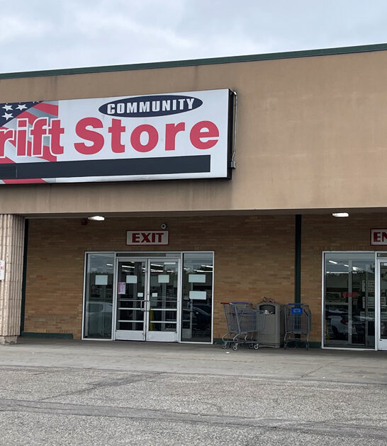 thrift stores michigan rare ftr