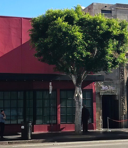 tim burton restaurant california ftr