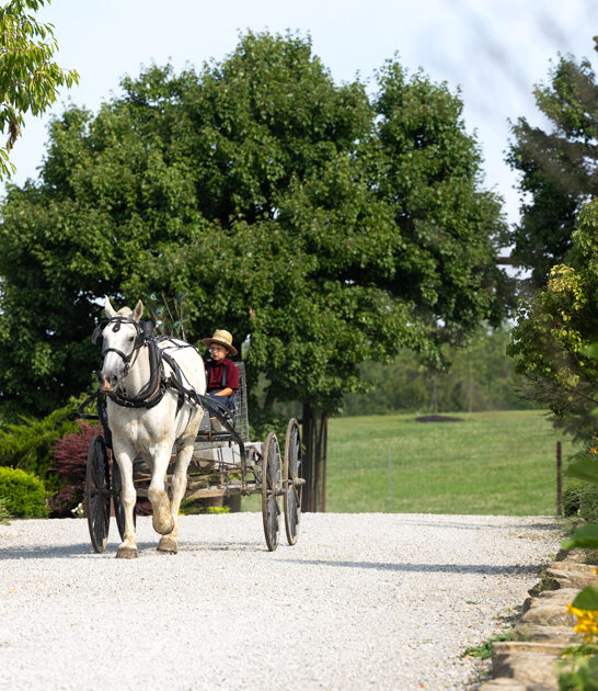 tiny amish towns ohio ftr