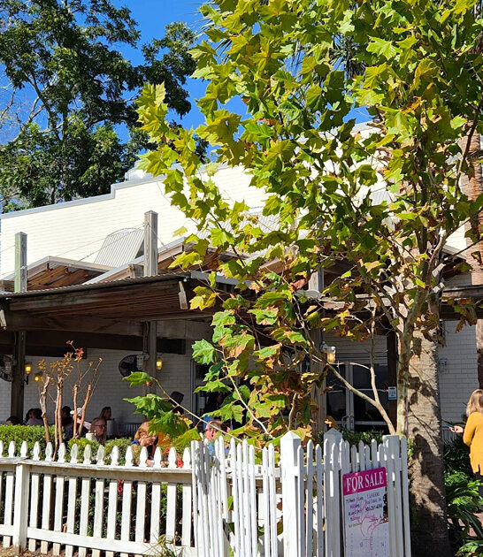 tiny florida shrimp shack ftr