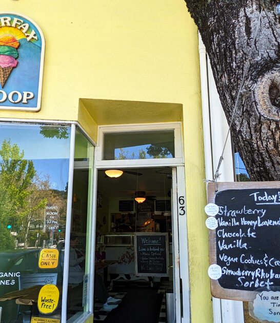 tiny ice cream california ftr