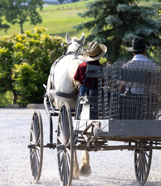 tiny ohio town amish ftr