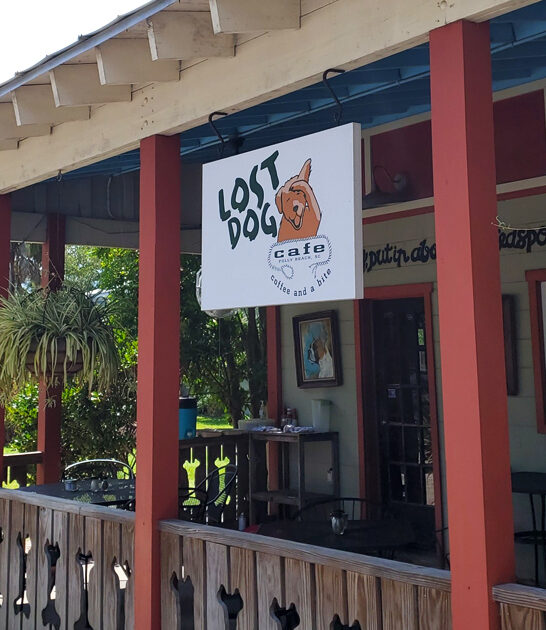 toast cafe south carolina ftr