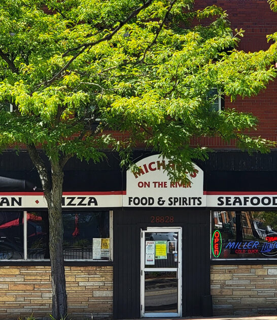 top onion rings michigan ftr