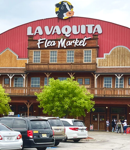 treasure hunting spot georgia ftr