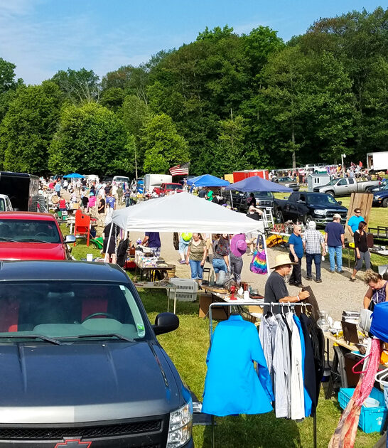 treasure stuffed market michigan ftr