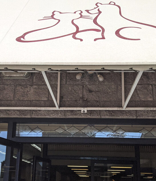 treasures secondhand store oregon ftr