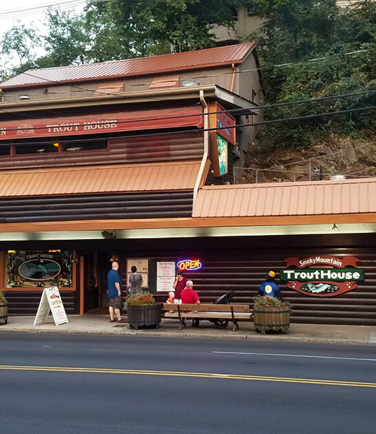 trout fritters seafood tennessee ftr