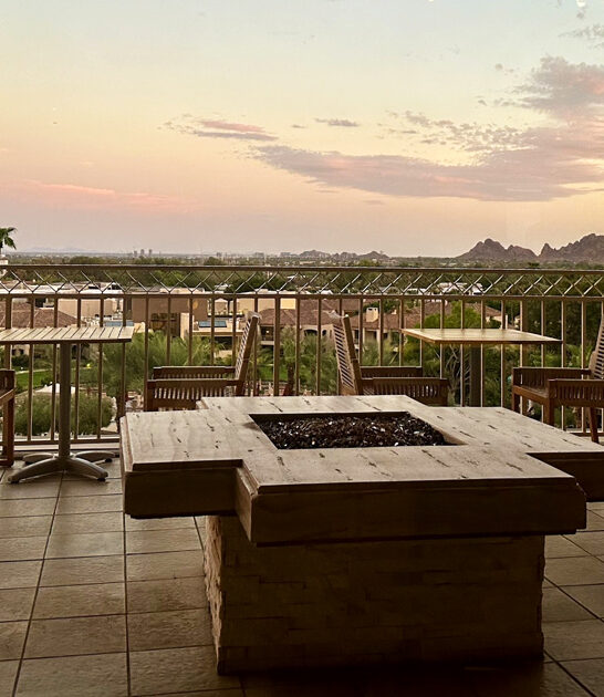 truffle cheese fritters arizona ftr