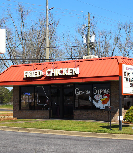 unassuming fried chickens georgia ftr