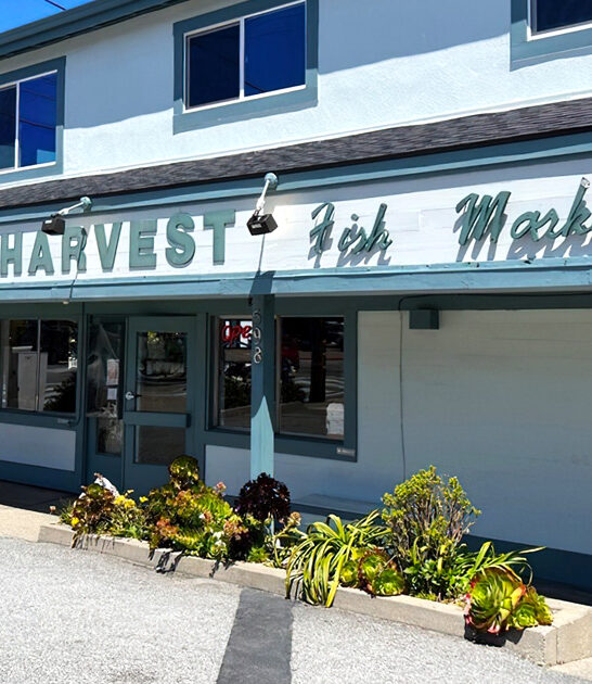 unassuming seafood california joint ftr