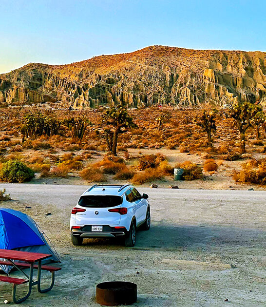 underrated desert park california ftr