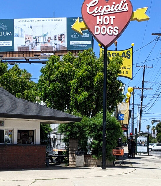 unforgettable california hot dogs ftr