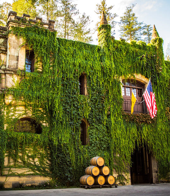 vineyard retreat california style ftr