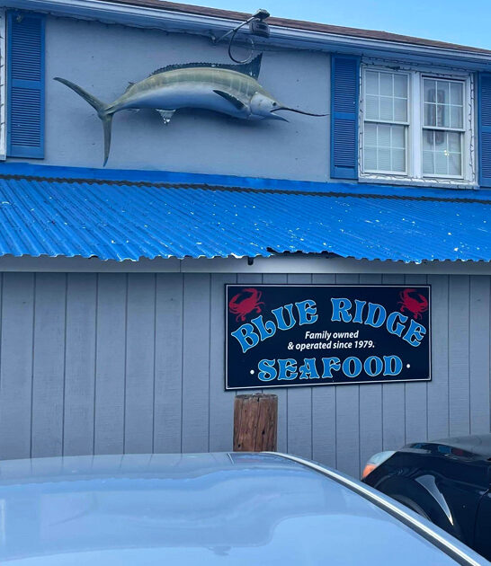 virginia fried shrimp ftr