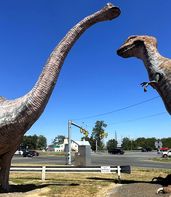 virginia park dinosaur themed ftr