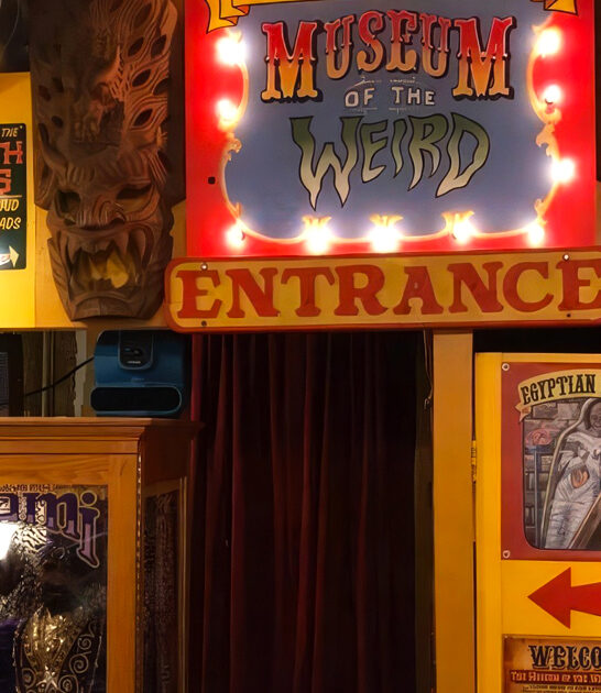 wacky oddities museum texas ftr