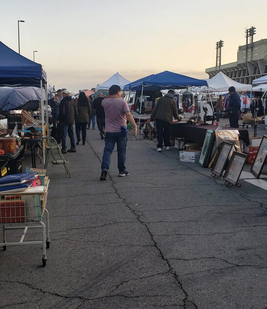 weekend california market adventure ftr